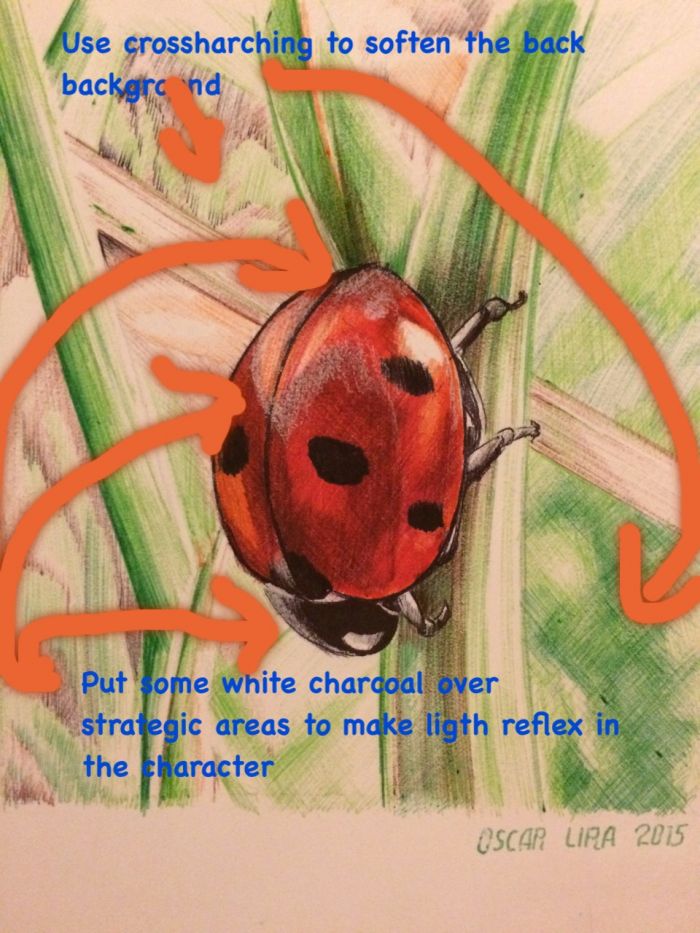 How to draw a Ladybug with pens by Oscarlira | Our Art Corner