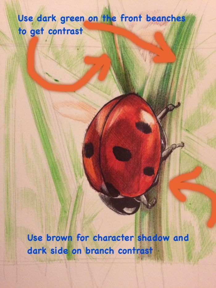 How to draw a Ladybug with pens by Oscarlira | Our Art Corner