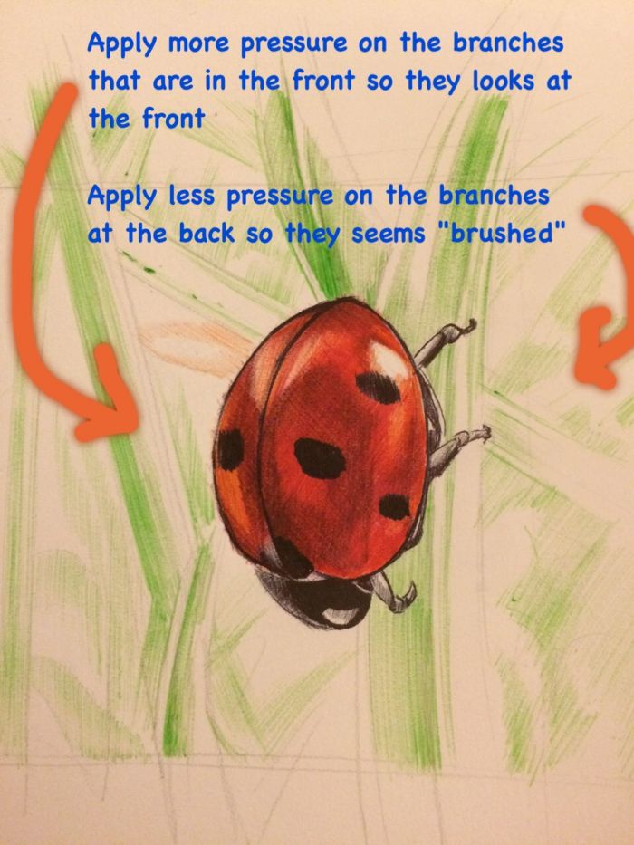 How to draw a Ladybug with pens by Oscarlira | Our Art Corner