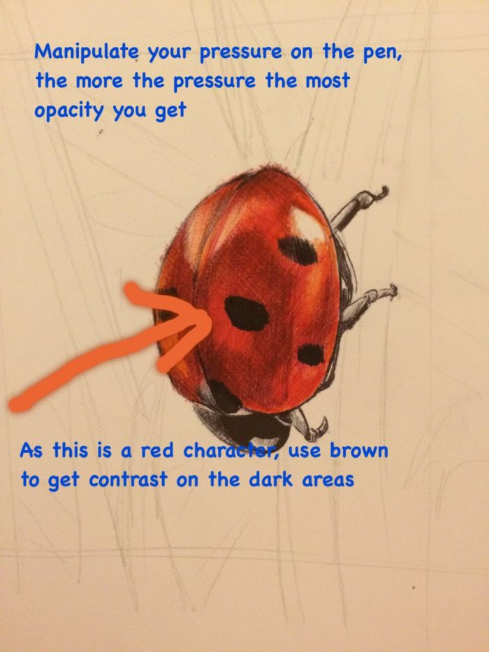 How to draw a Ladybug with pens by Oscarlira | Our Art Corner