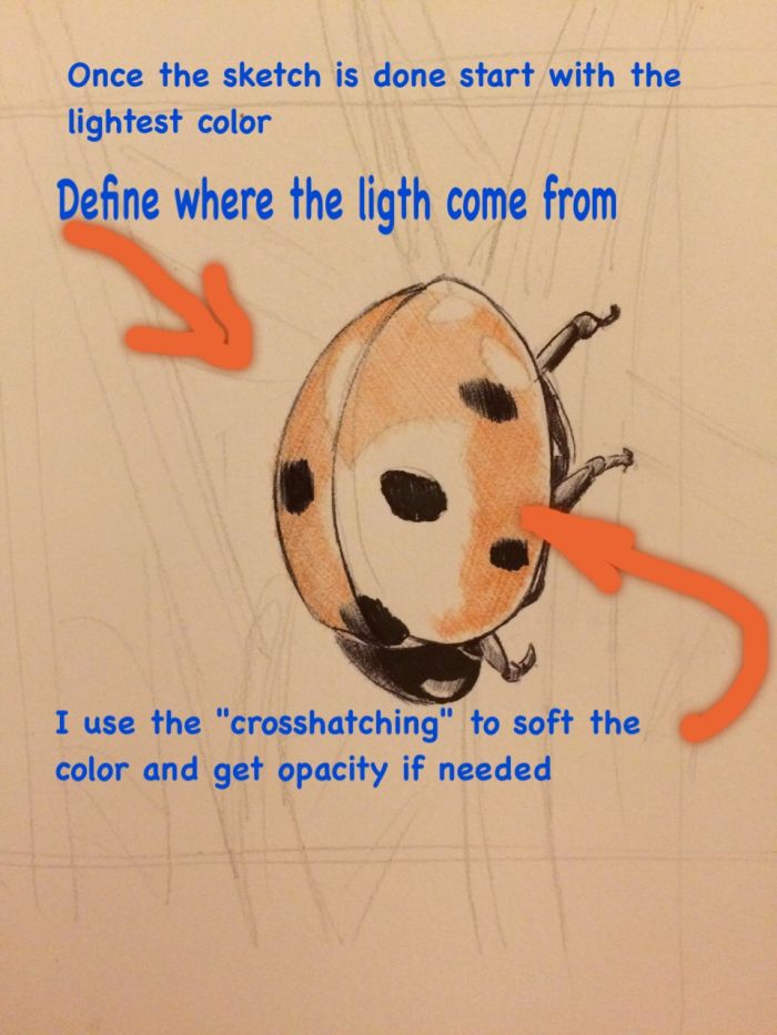 How to draw a Ladybug with pens by Oscarlira | Our Art Corner